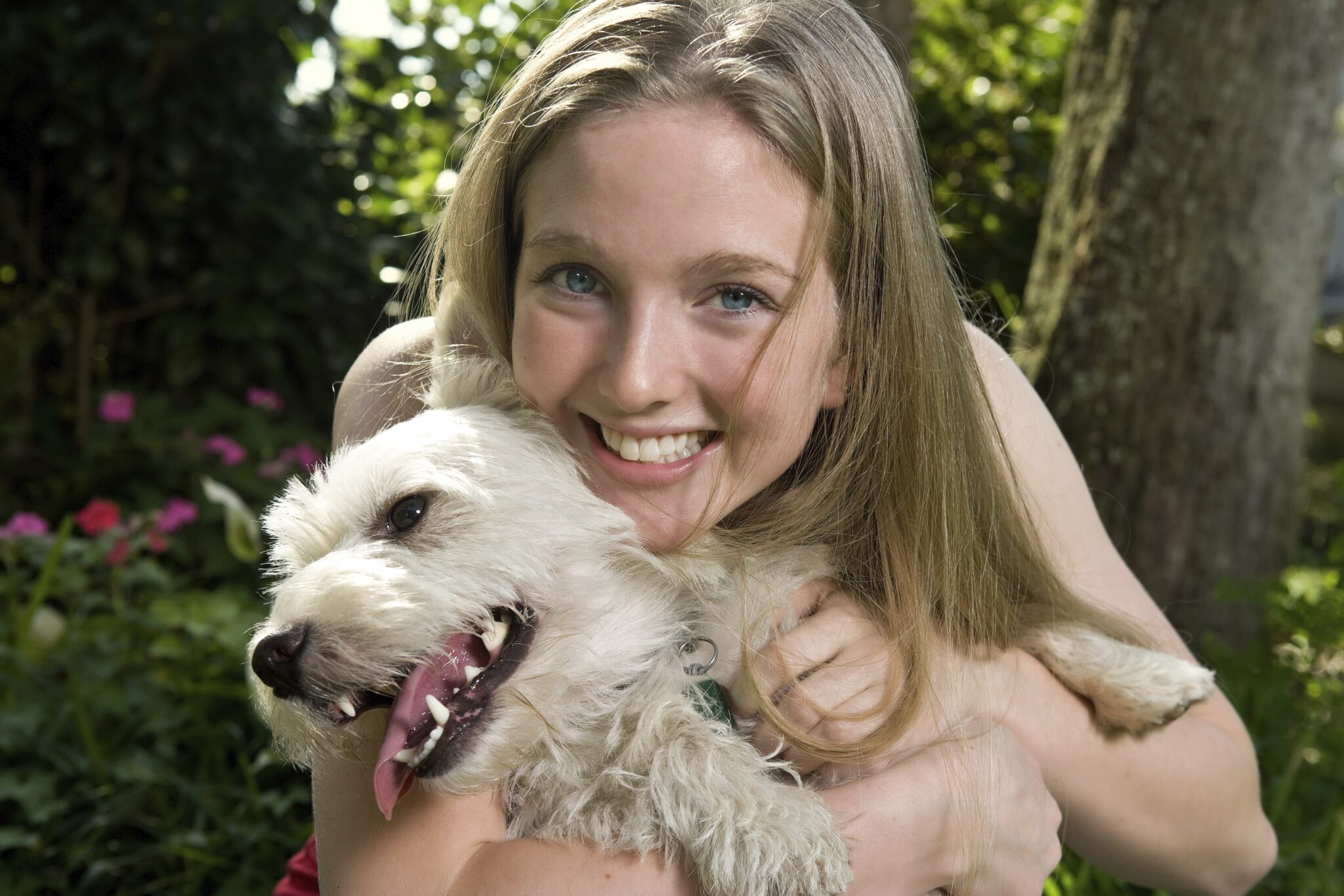 Les solutions pour la coprophagie de votre chien existent