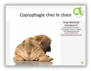 Webinar coprophagie chien - Arcanatura