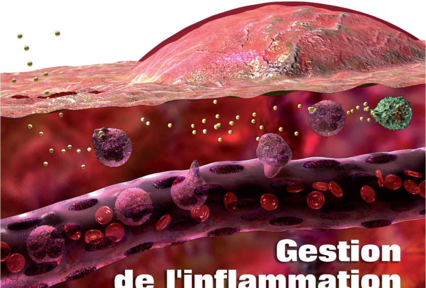 La résolution de l'inflammation - Arcanatura La résolution de l'inflammation - Arcanatura