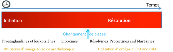 La résolution de l'inflammation - Arcanatura La résolution de l'inflammation - Arcanatura