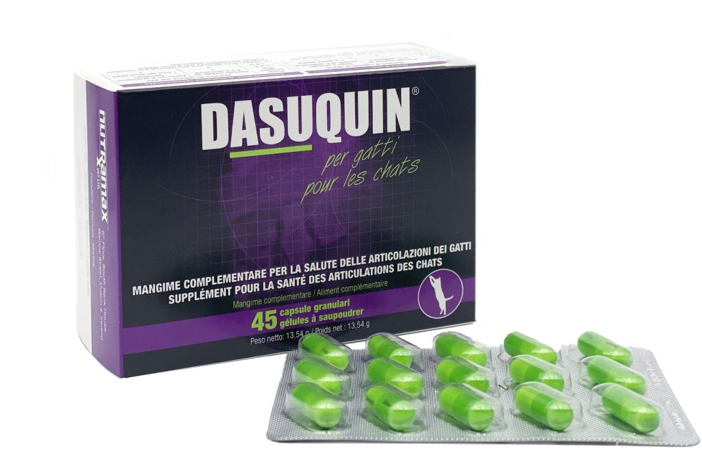 Arthrose du chat - Dasuquin® - ArcaNatura